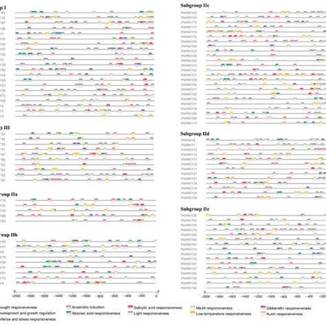 Cis Acting Elements In Ptwrkys Promoter Line Represents 2000bp Gene Download Scientific
