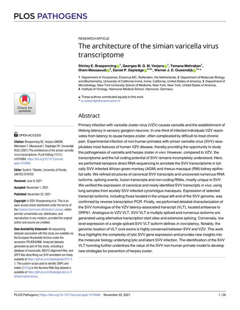 Pdf The Architecture Of The Simian Varicella Virus Transcriptome