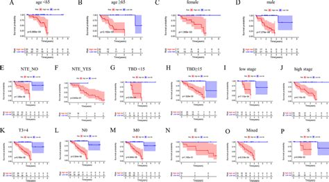 Stratification Survival Analysis In The Tcga Uvm Dataset K M Survival Download Scientific