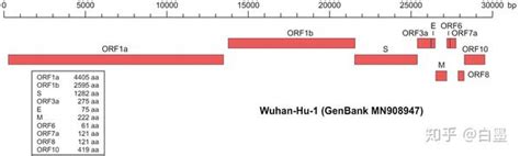 Python 自动化提取基因 Cds 知乎
