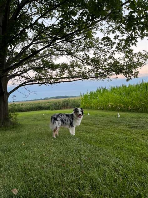 Love My Wiggle Butt Rwigglebutts