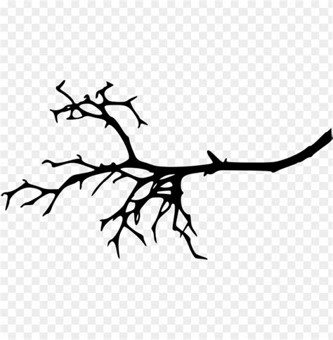 Transparent Tree Branch Silhouette PNG Image ID 3366 TOPpng