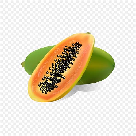 파파야 벡터 이미지의 그림입니다 그림 파파야 파파야 파파야 Png Png 일러스트 및 벡터 에 대한 무료 다운로드 Pngtree
