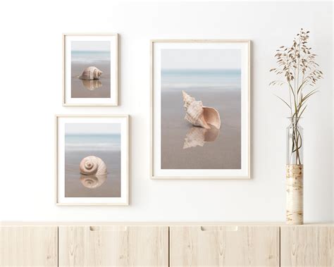 Set Of Shell Prints Shell Print Set Seashell Print Set Etsy