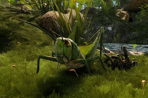 Smalland Taming Grasshoppers How It Works Practical Tips