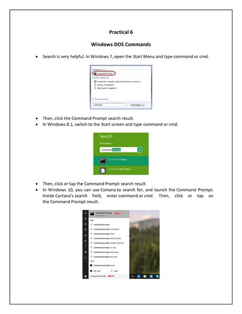 practical file vikas pathak practical 6 windows dos commands search