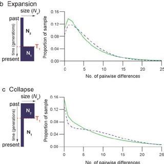 Marker Density Distributions Predicted Under Competing Population Download Scientific Diagram