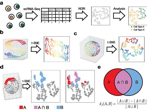 A A Schematic Of Some ScRNA Seq Workflows The Gene Expression Data Download Scientific