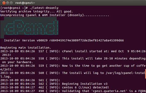 Handle DNS Properly With CPanel LowEndBox