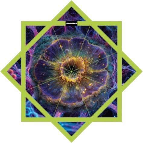 Space Shell Coral Jumbo 48 Flowstar Ready To Ship Foreverflow