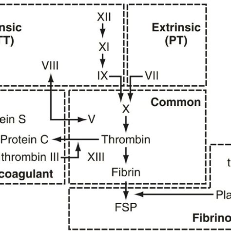 Diagnostic Evaluation Of Anemia MCV Mean Corpuscular Download Scientific Diagram