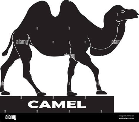 Camel Logo Vector Illustration Design Stock Vector Image Art Alamy