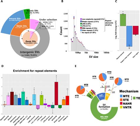 The Distribution Of Svs Relative To Genes Regions Under Selection And