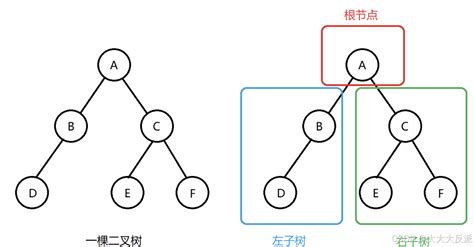 【c数据结构】二叉树深层解析 模拟实现 oj题目）