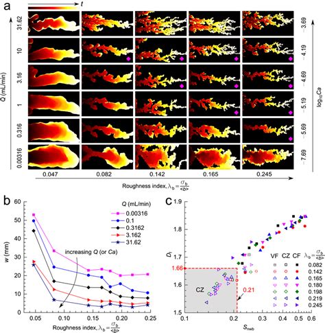 A Evolution Of The Fluid‐fluid Displacement Fronts With Time These