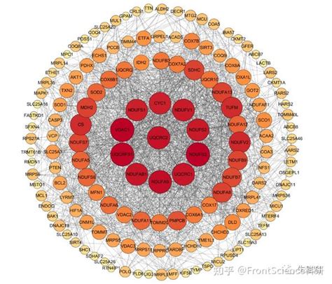 【手把手教你】cytoscape—基因互作网络图的保姆级讲解 知乎