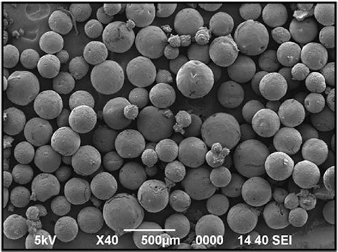 Scanning Electron Micrograph Of Gelatinsodium Carboxymethyl Cellulose