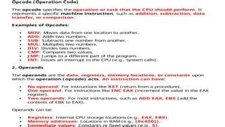 ASSEMBLY LANGUAGE For Undergraduate 1 Pptx