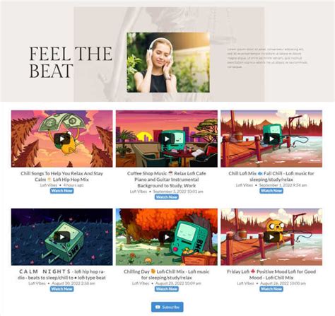 Best Plugins To Embed YouTube On WordPress Newbie Friendly