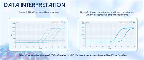 B Kit Ph T Hi N Axit Nucleic Virus Zika