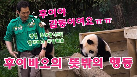 맙소사💥생일 선물로 할아버지를 껴안는 후이바오의 깜짝 행동🎁송바오님 할부지는 녹아내리고 감동이여요ㅠㅠ Youtube