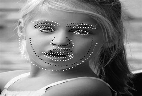 face alignment using regression trees frieda rong