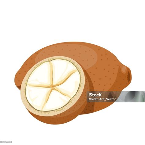 Cupuacu Stock Illustration Download Image Now Cupuaçu Mallow