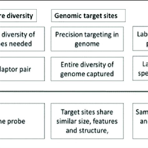 Comparison Of Sequence Technology Solutions Download Scientific Diagram