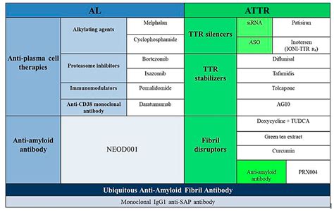 Cardiac Amyloidosis Therapy A Systematic Review