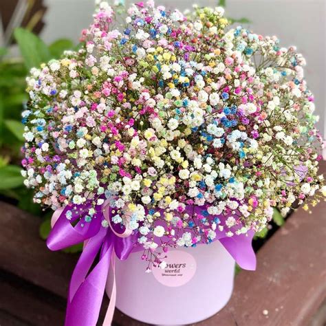 Доставка цветов в Чите - Flowers World