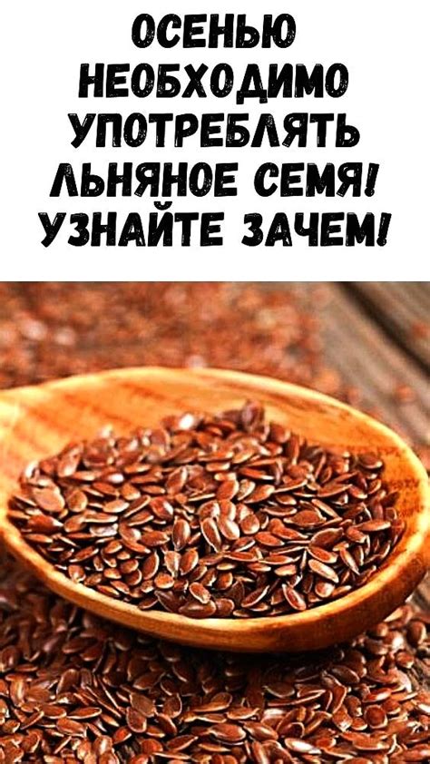 Женские Советы Здоровое питание Рецепты Питание