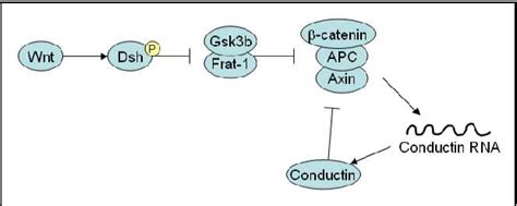 Figure 3 From Pathway Activity Inference Using Microarray Data
