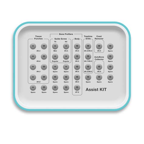 Assist Kit