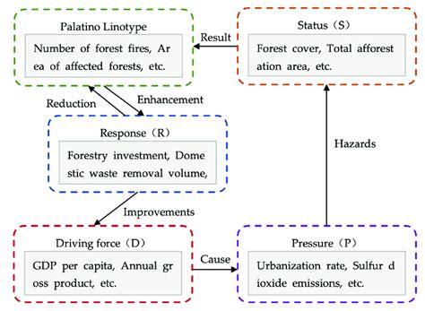 Forest Ecological Security Dpsir Conceptual Model Download Scientific Diagram