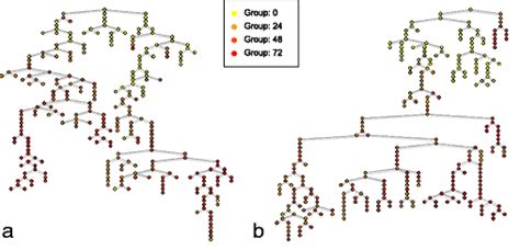 Celltree An R Bioconductor Package To Infer The Hierarchical