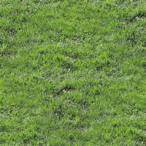 High Resolution Grass Textures Seamless Seamless Texture Of The Grass