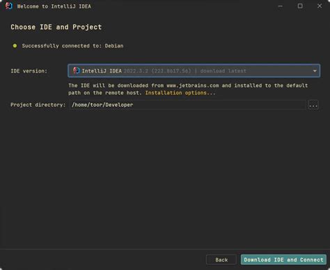 Windows Subsystem For Linux Wsl 入门指南 Divineengine