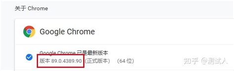 Web Chromedriver Message Chromedriver Executable Needs To Be In Path Please See
