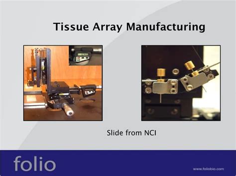 Tissue Microarray Presentation Key