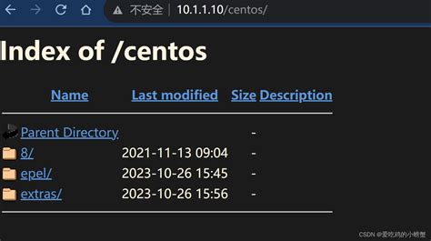 centos8搭建内网私有repo源 csdn博客