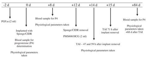 Fixed Time Trans Cervical Artificial Insemination Tai Protocol By Day