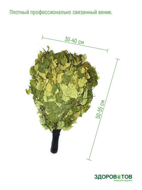 Веник для бани березовый отборный 2шт в интернет магазине Здороветов