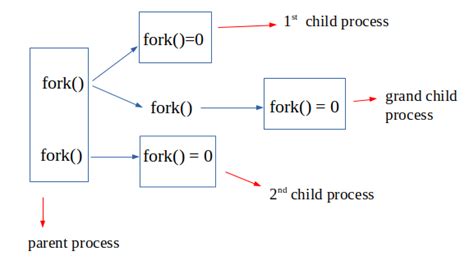 Fork To Execute Processes From Bottom To Up Using Wait Geeksforgeeks