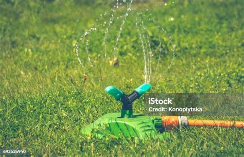 밝은 여름 정원입니다 정원 로타리 스프레이 물 스프레이 농업용 스프링클러에 대한 스톡 사진 및 기타 이미지 농업용 스프링클러