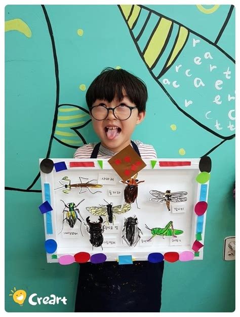 Klein 6·7세 수업 곤충표본 시흥시 정왕동 배곧 미술학원 창의미술 크리아트 네이버 블로그 초등학교