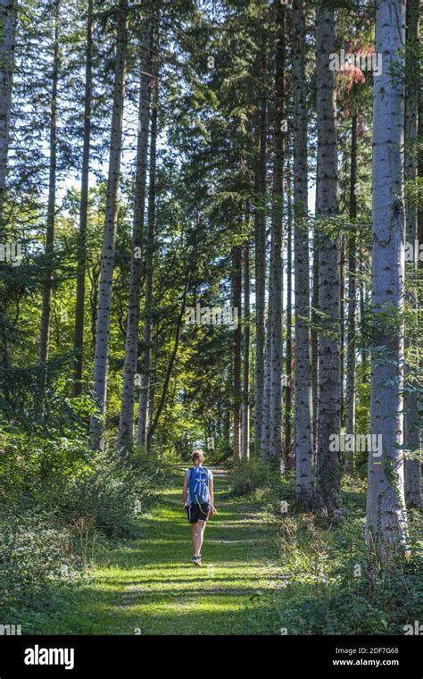 Bois Le Comte Fotos Und Bildmaterial In Hoher Auflösung Alamy