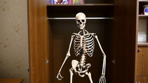 Танцующий скелет в шкафу Dancing Skeleton In The Closet Youtube