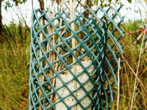 Plastic Mesh Is Used For Tree Guards With Roll Packing