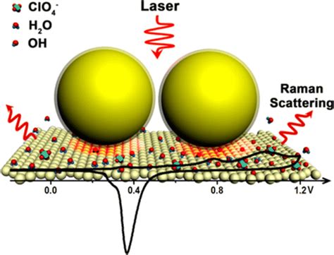 In Situ Monitoring Of Electrooxidation Processes At Gold Single Crystal Surfaces Using Shell