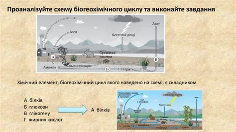 Елементний склад клітини Неорганічні сполуки Підготовка до ЗНО з